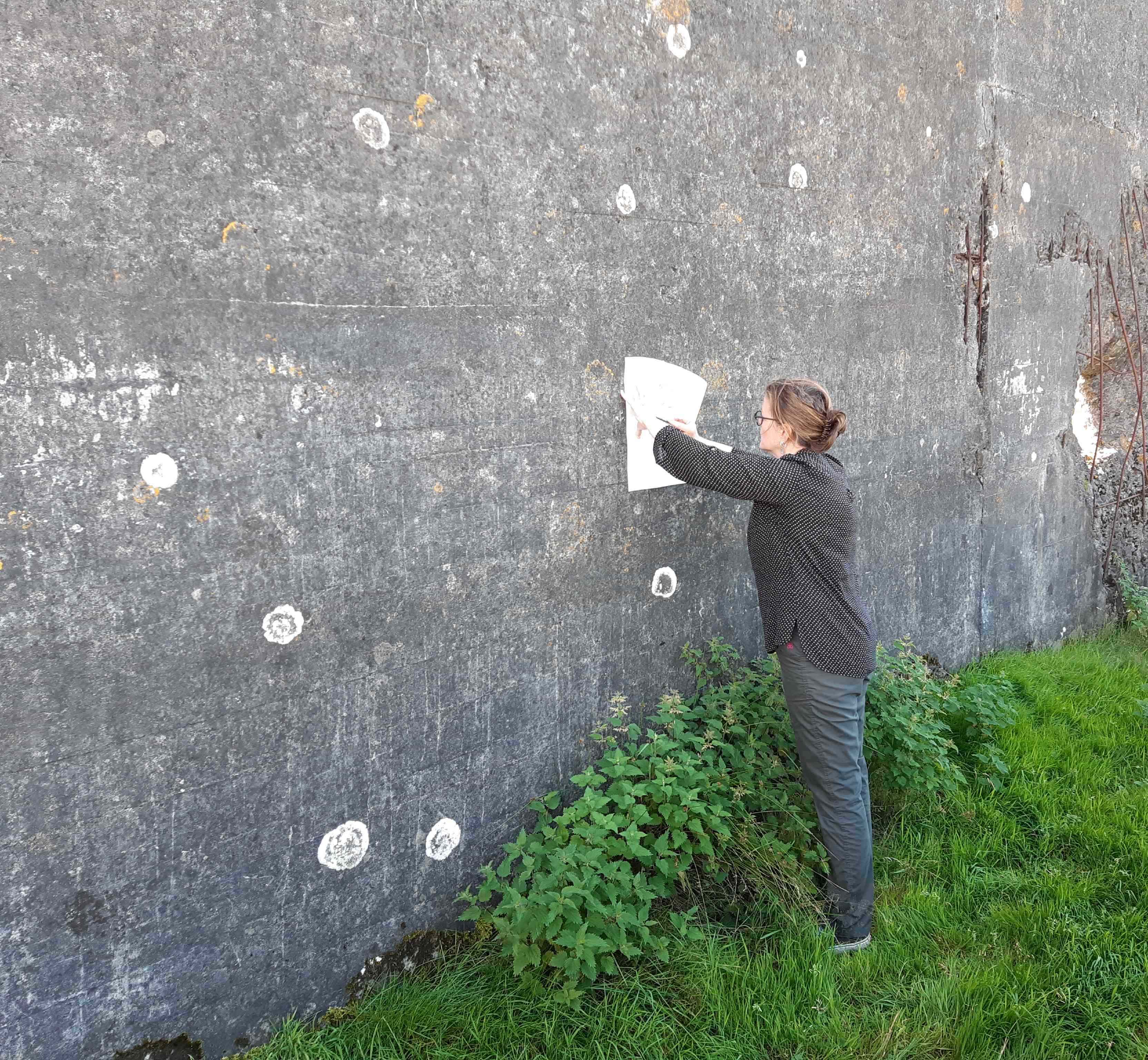 Target Wall – Lesley Logue